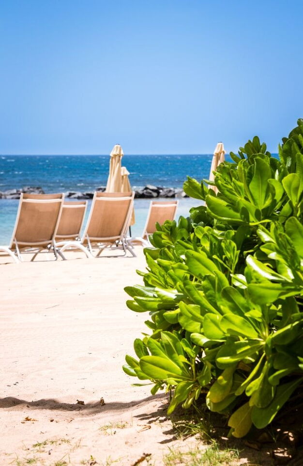 Luxury Private Caribbean Beach Resort in Puerto Rico - Dorado Beach Resort